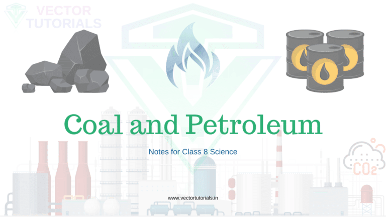 Coal and Petroleum Notes - Class 8 Science Easy Points