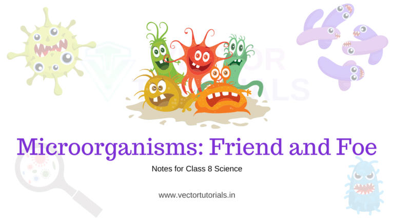 Microorganisms Friend and Foe Notes - Class 8 - Best Guide